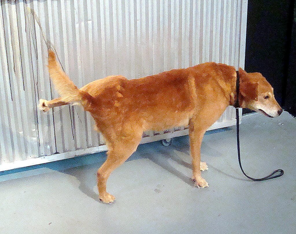 Relieved Orange – Memee's Musings