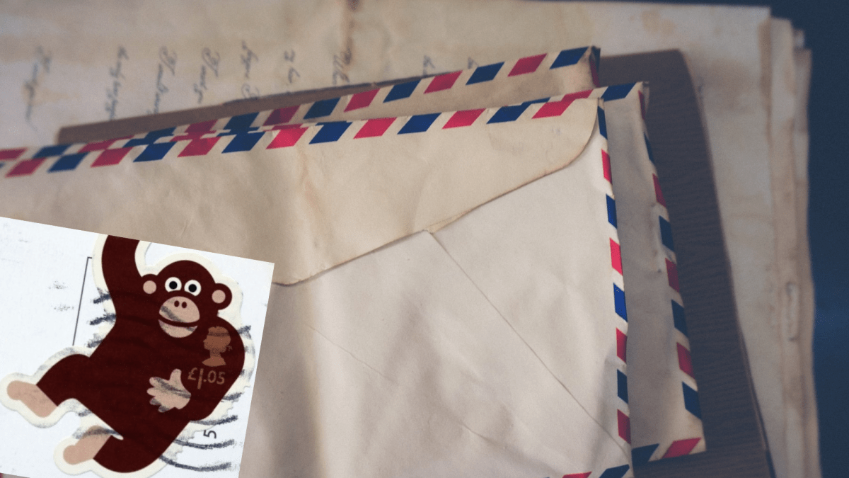 Mailchimp Deleted My Account With No Warning Or Notification – 2021 ...